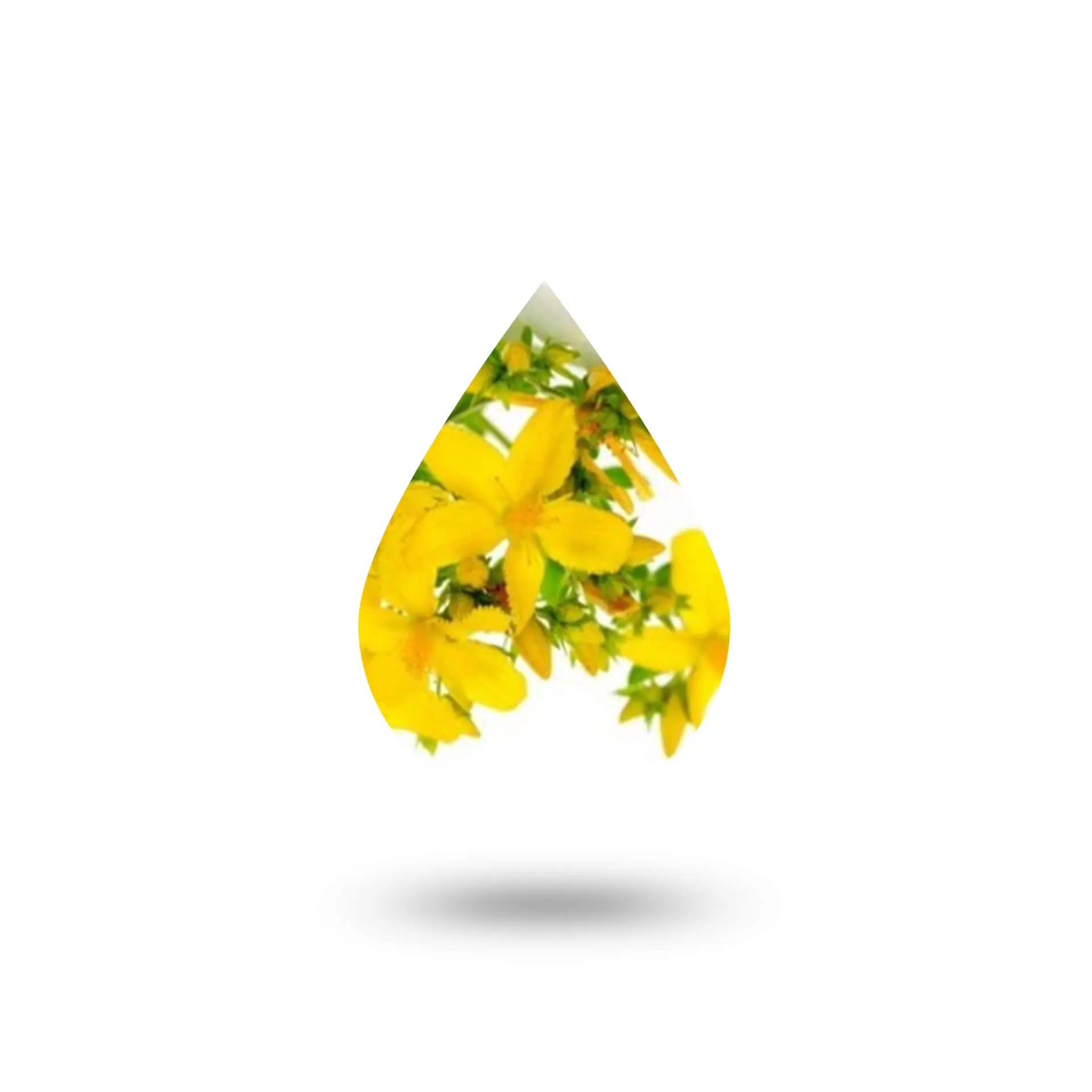 Σπαθόλαδο - Βαλσαμέλαιο - (Hypericum oil) - Anaplasis